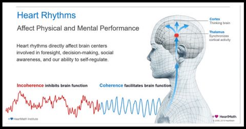 Why HeartMath Tools Work So Well for Reducing Stress! - Heaven Lane ...